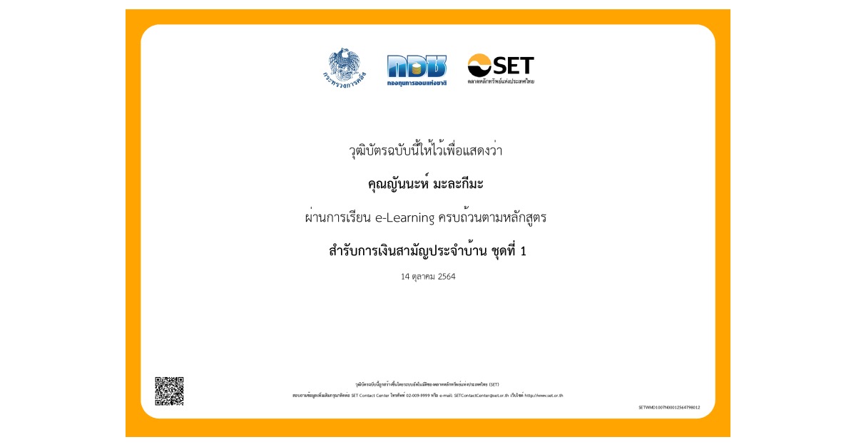 SET e-Learning